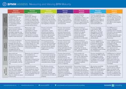 BPMM Assess - Leonardo's BPM Maturity Assessment